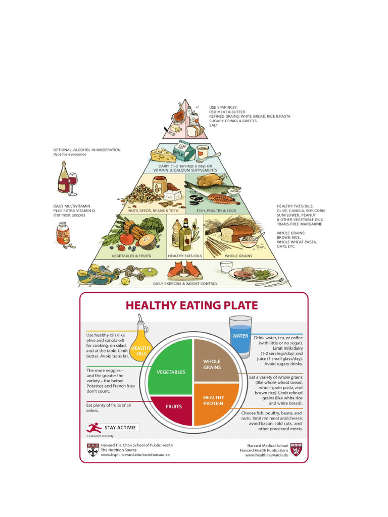 Student Handout Food Pyramid K67 - Tuần 1 | PDF