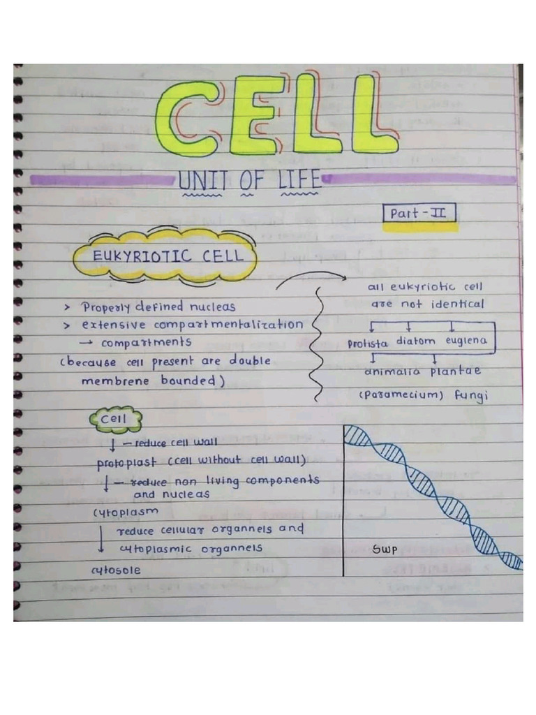 CELL Notes, Cell membrane &cell wall in English | PDF