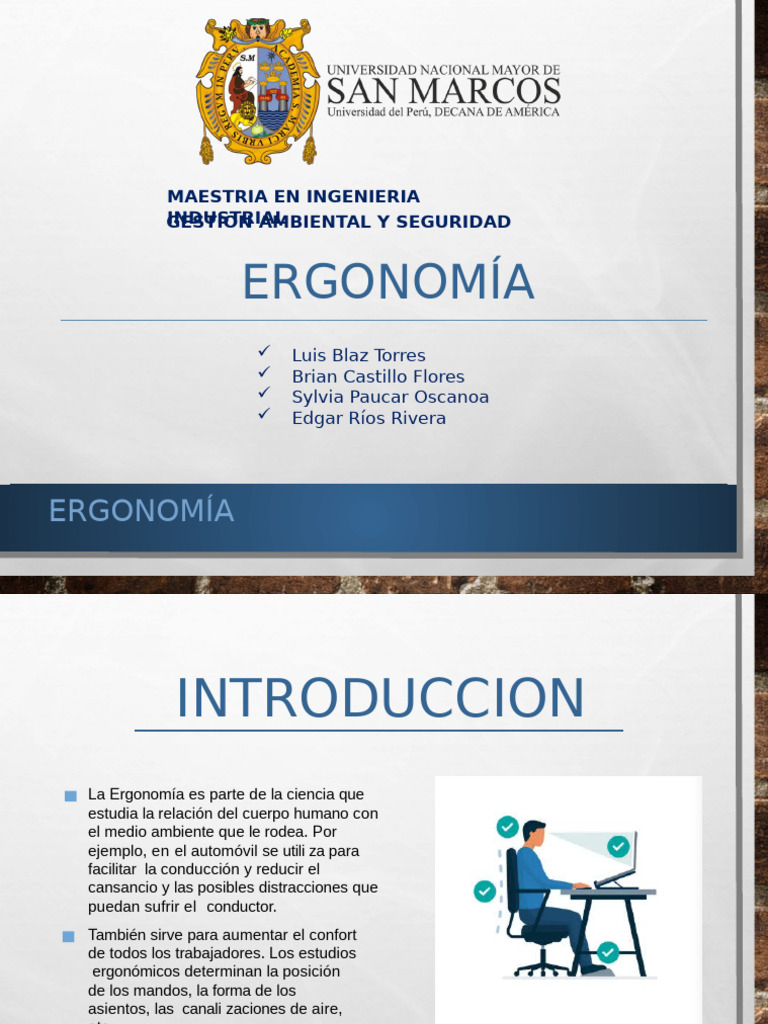 Ergonomia PPT Final | PDF