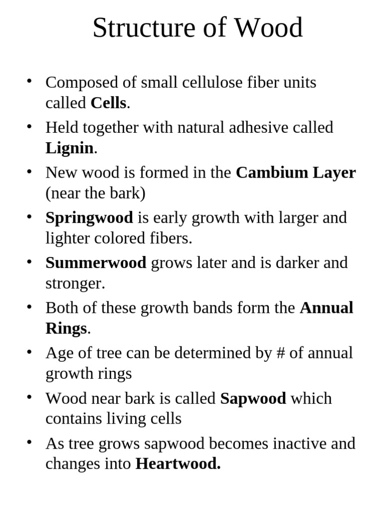 Wood Ring Anatomicaal Structure | PDF | Wood | Trees