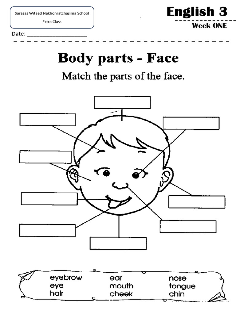 Grade 3 Teaching Materials | PDF | Wellness