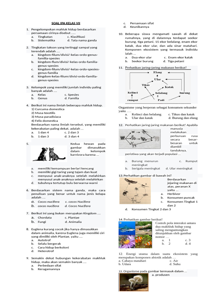 Soal Ipa Kelas Vii | PDF