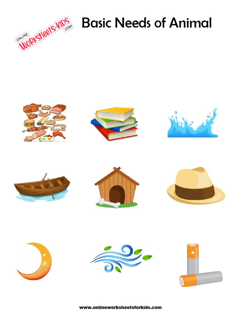 Basic Needs of Animal Worksheet for grade 1-5 (1) | PDF