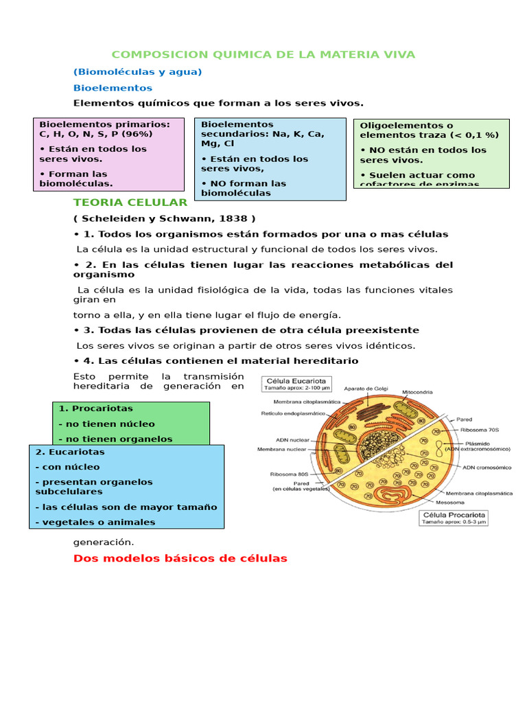 Composicion Quimica de La Materia Viva | PDF | Célula (Biologia) | Organelo