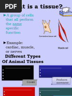 Tissues Drawing | PDF