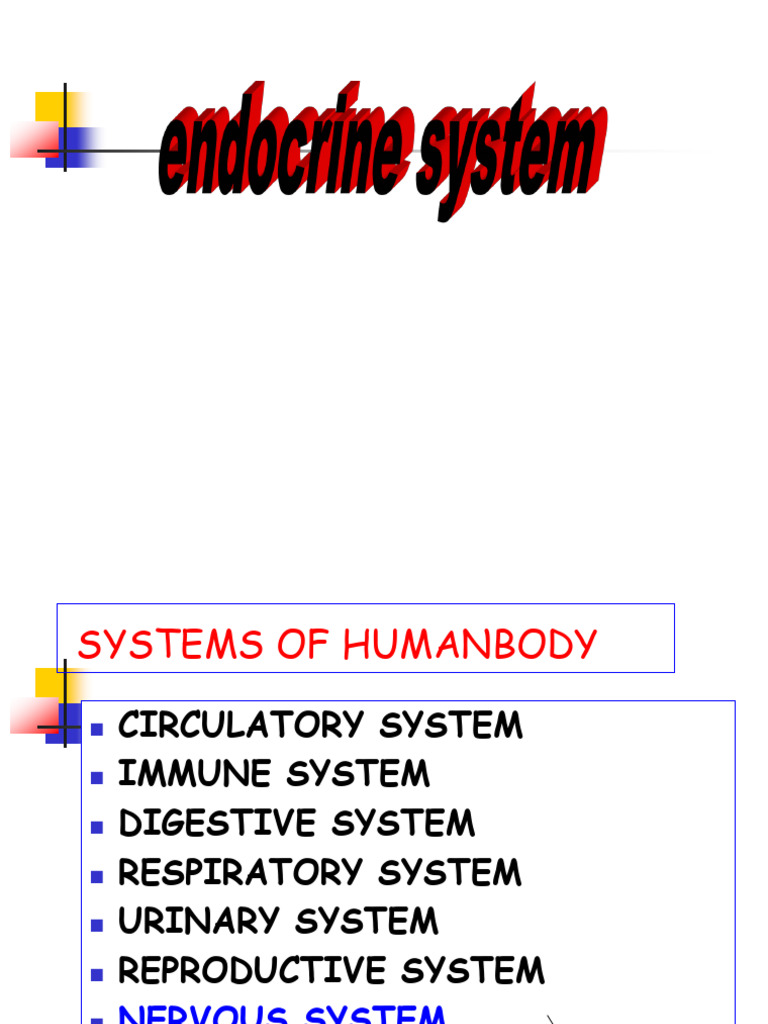 Chapter 13 Endochrine System | PDF