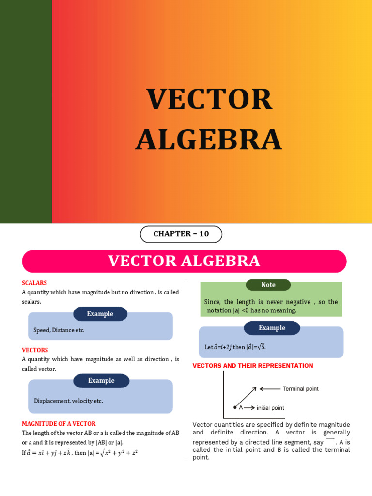 Vector CUET | PDF
