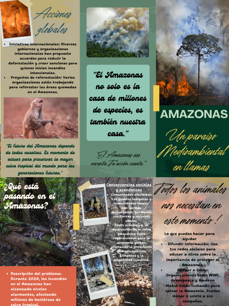 TRIPTICO Amazonas | PDF