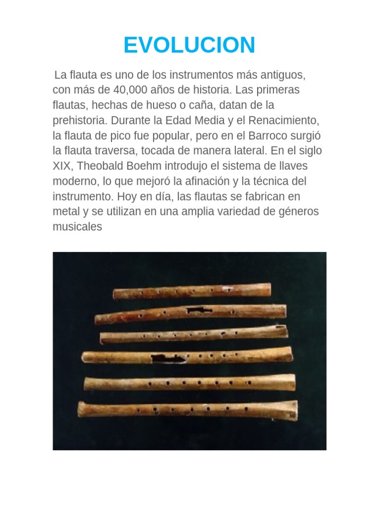 Historia de La Flauta | PDF