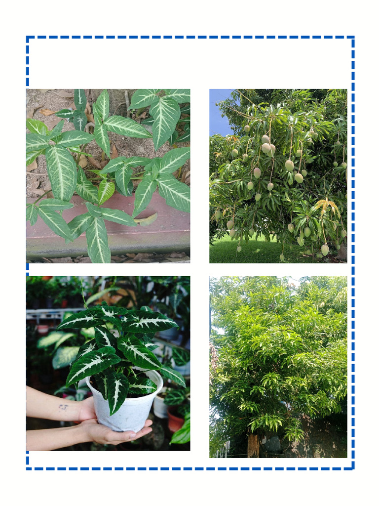 Orange and Green School A4 Document Page Border PDF | PDF