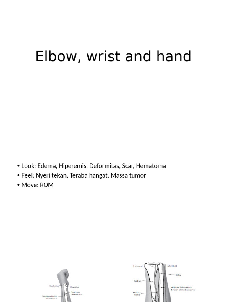 Elbow, Wrist and Hand | PDF | Elbow | Anatomical Terms Of Motion