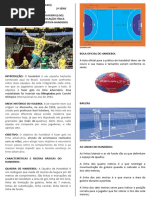 Regras Essenciais do Handebol | PDF | Esportes coletivos | Jogos com bola