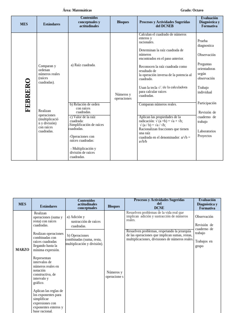 Planificacion Octavo | PDF