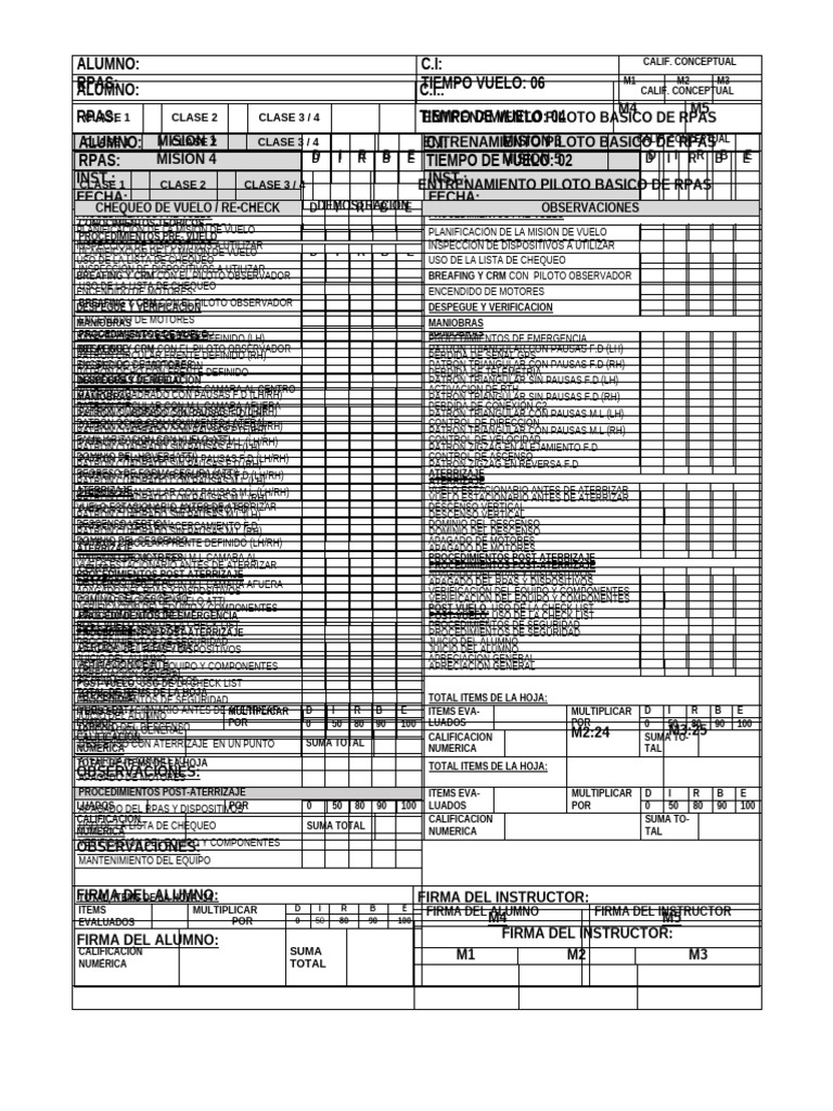 Formato Basico Real | PDF