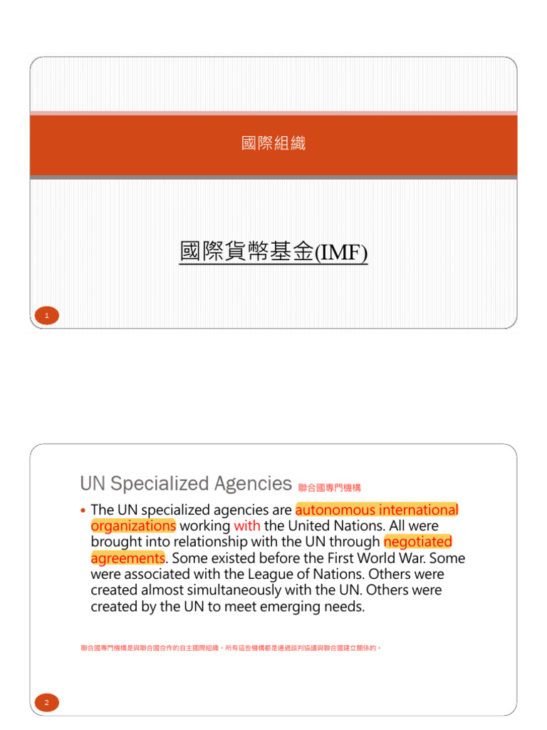 國際組織 W9 IMF | PDF