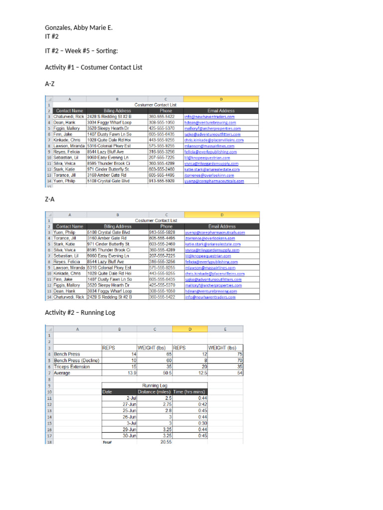 IT2 - Excel-Sorting | PDF