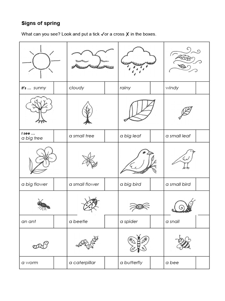 Sign of Spring - Worksheet | PDF