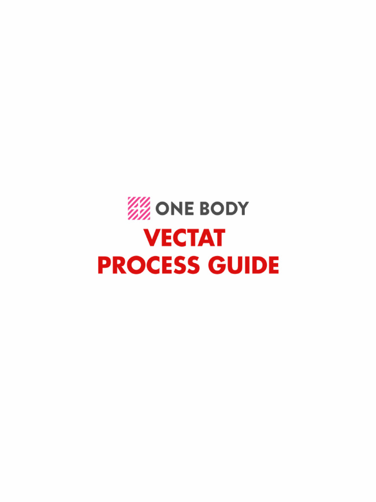 Vectat Process Guide | PDF