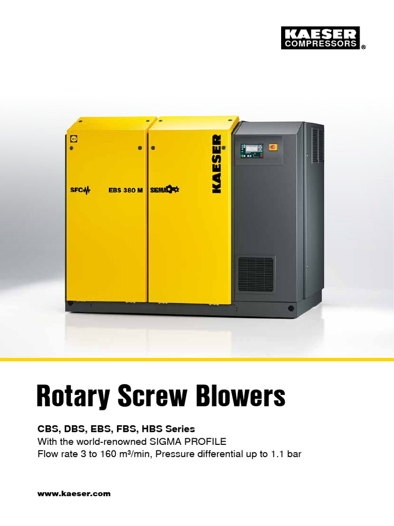 Screw Blowers Cbs Dbs Ebs Fbs Hbs Series | PDF