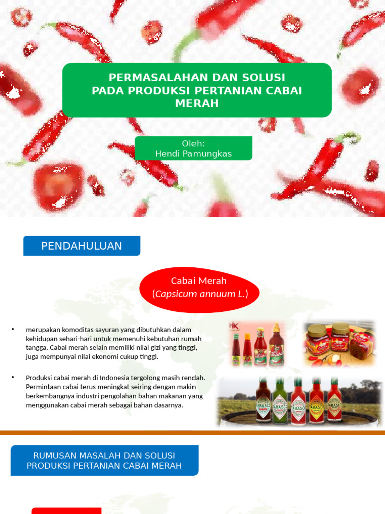 Permasalahan & Solusi Budidaya Cabai Merah - Hendi Pamungkas 1 | PDF
