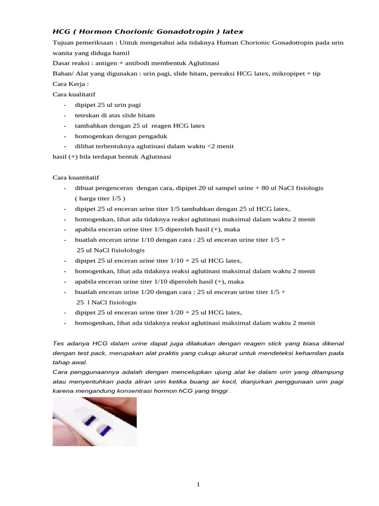 HCG Latex + Gallimanini | PDF