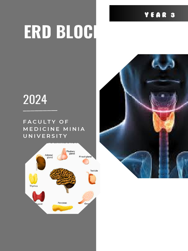 ERD Block | PDF