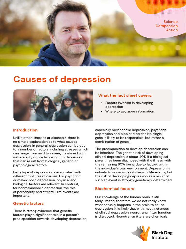 Causes of Depression | PDF