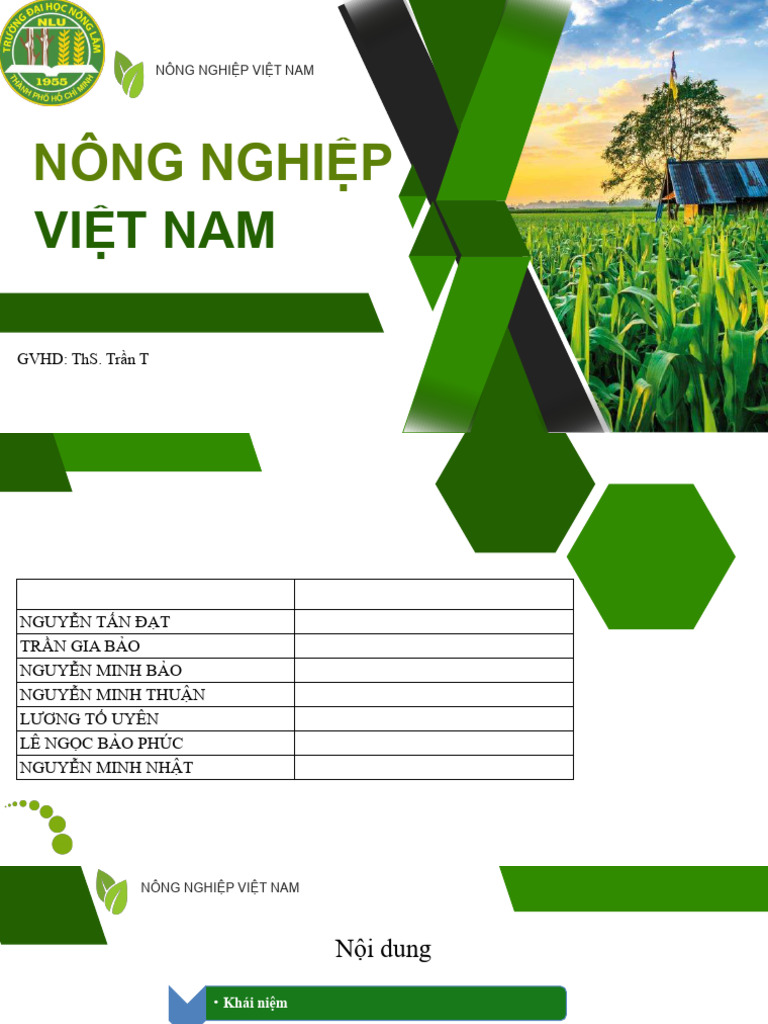 Nhóm 11 - KTPT - CT101 | PDF