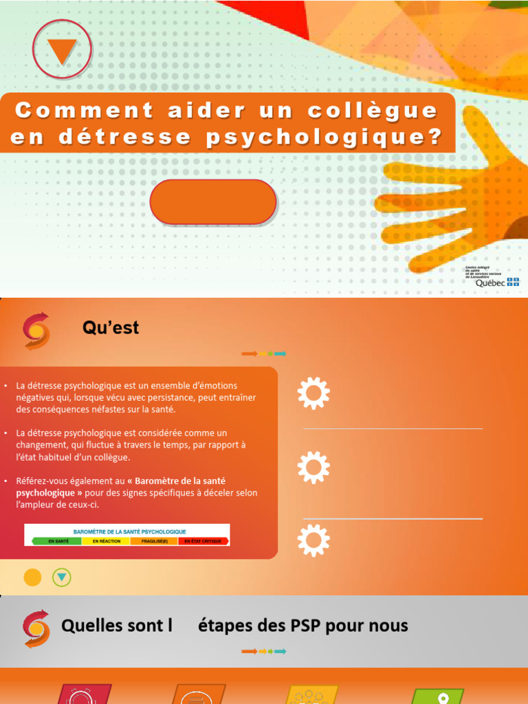 Aide Memoire Complet PSP | PDF