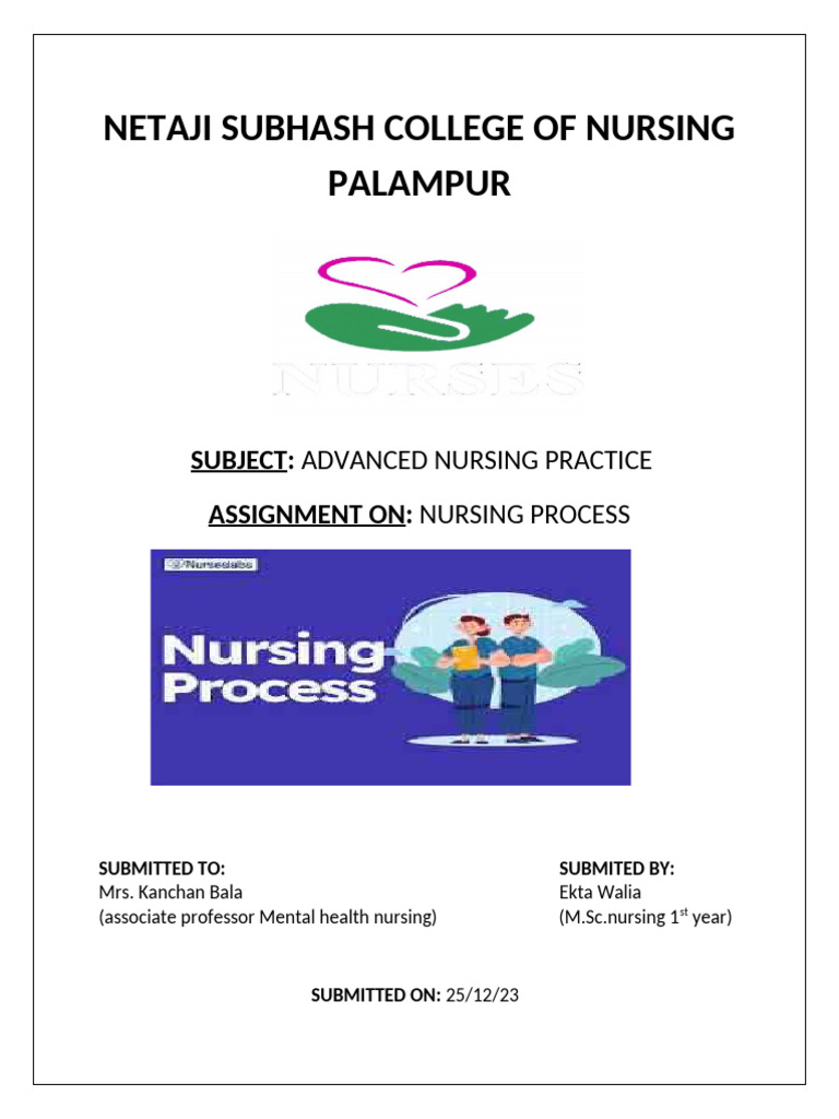 Assignment On Nursing Process | PDF