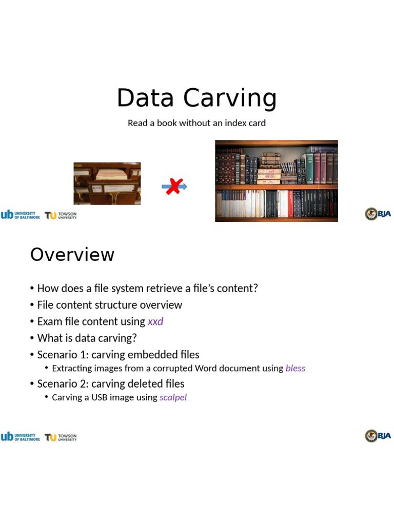 9 Data Carving | PDF