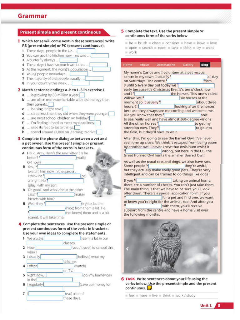 present simple extra practice worksheet | PDF