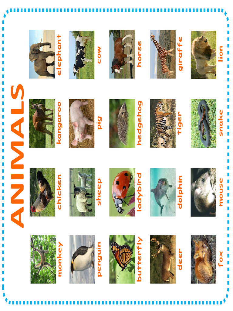 Animal Names List by Category | PDF