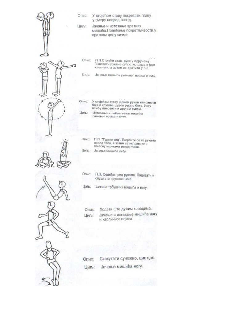 Vezbe Oblikovanja 2 | PDF