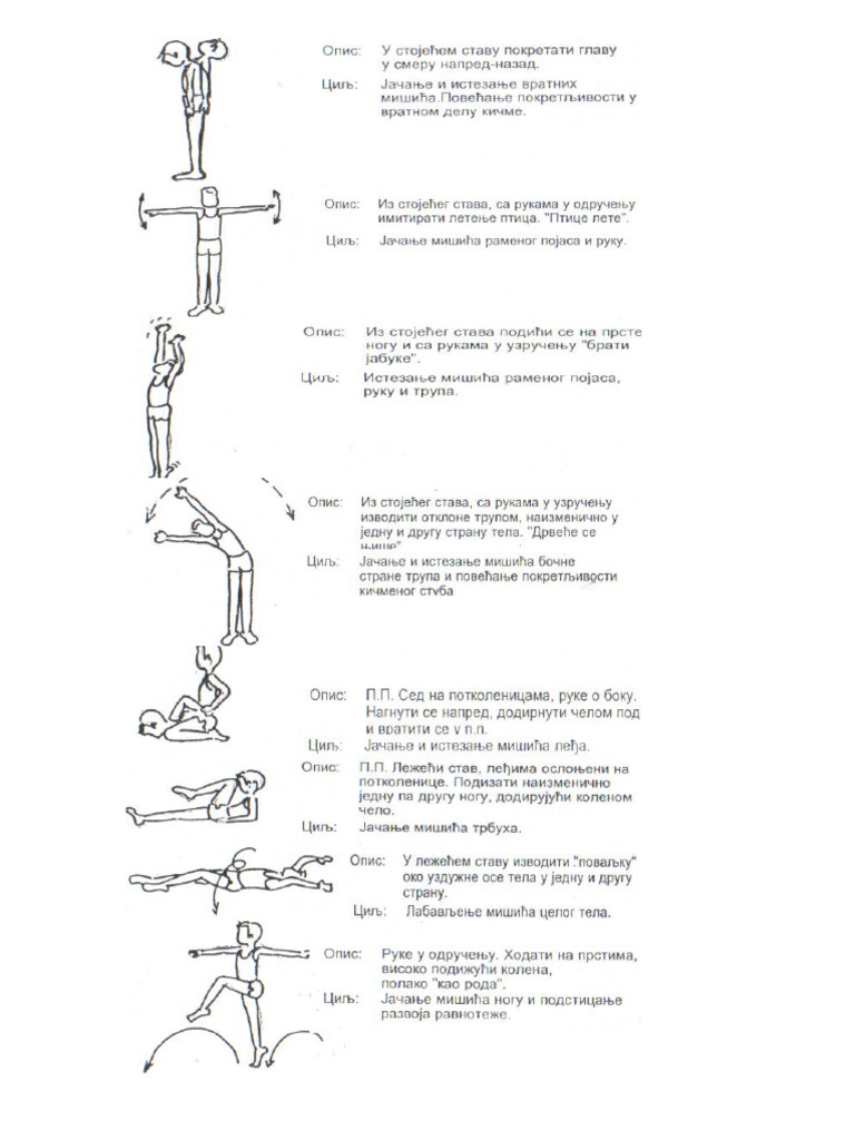 Vezbe Oblikovanja 5 | PDF