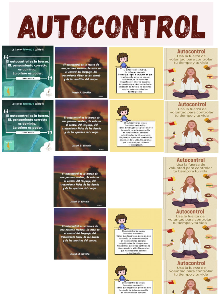 PALETAS AUTOCONTROL | PDF