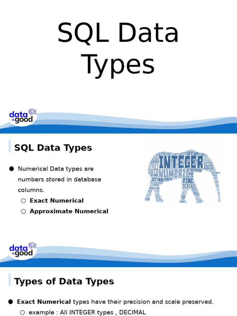 Numerical Datatypes | PDF