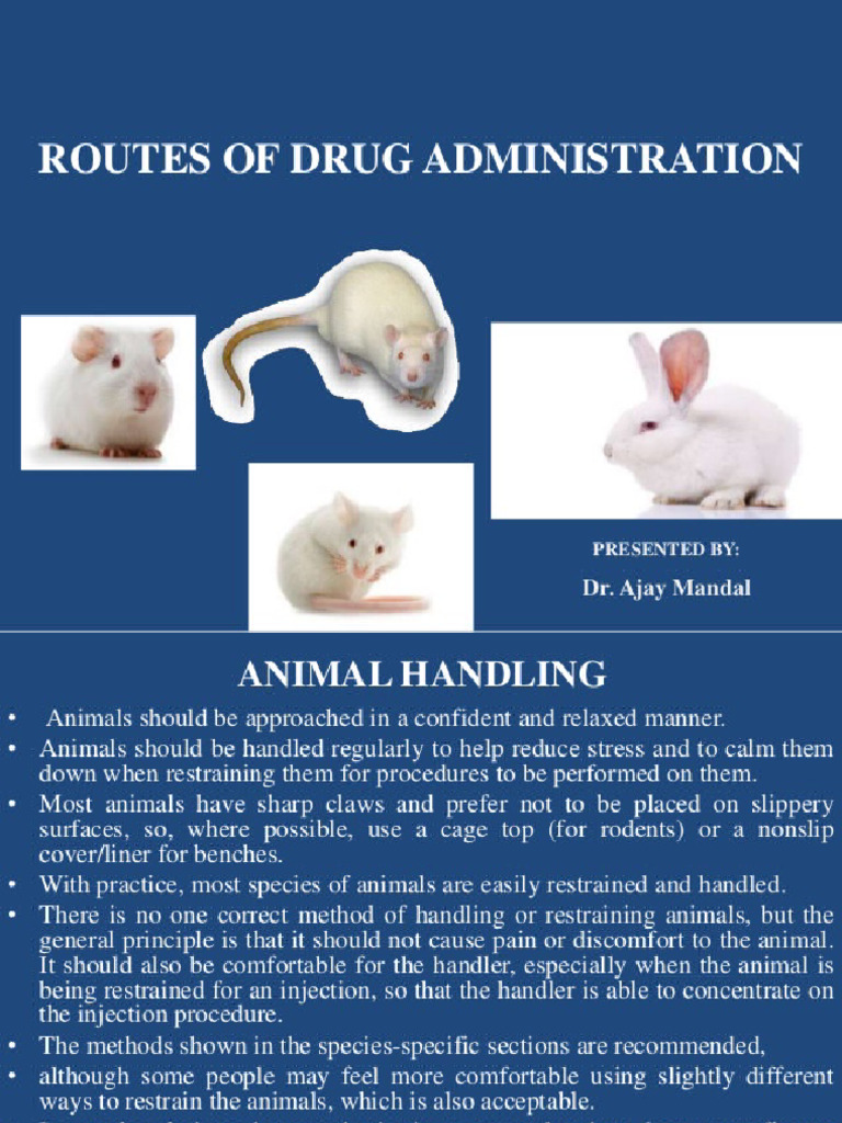 Drugs Administration | PDF