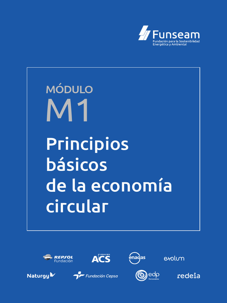 MODULO1 Principiosbasicosdelaeconomiacircular Funseam2023-1 | PDF