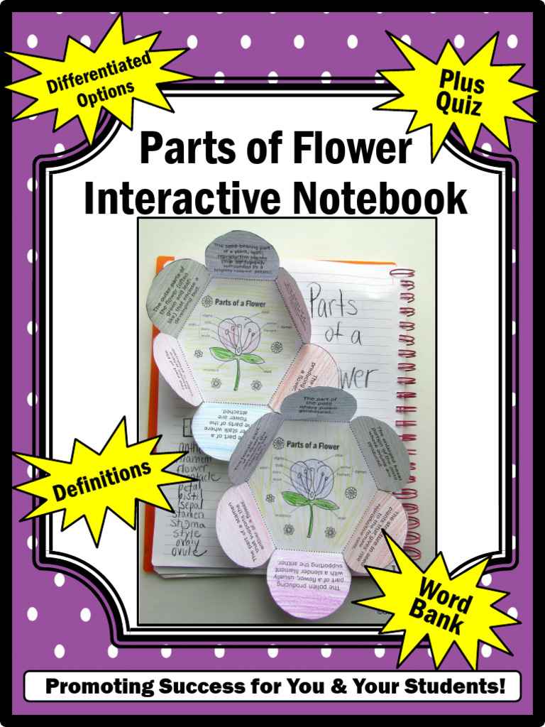 2 - Flowers Parts of A Flower Craft Diagram Parts of A Plant Life ...