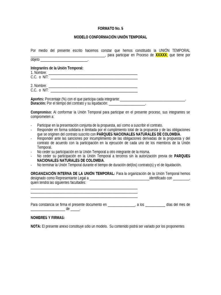 Anexo 6 - CONFORMACION UNION TEMPORAL O CONSORCIO | PDF