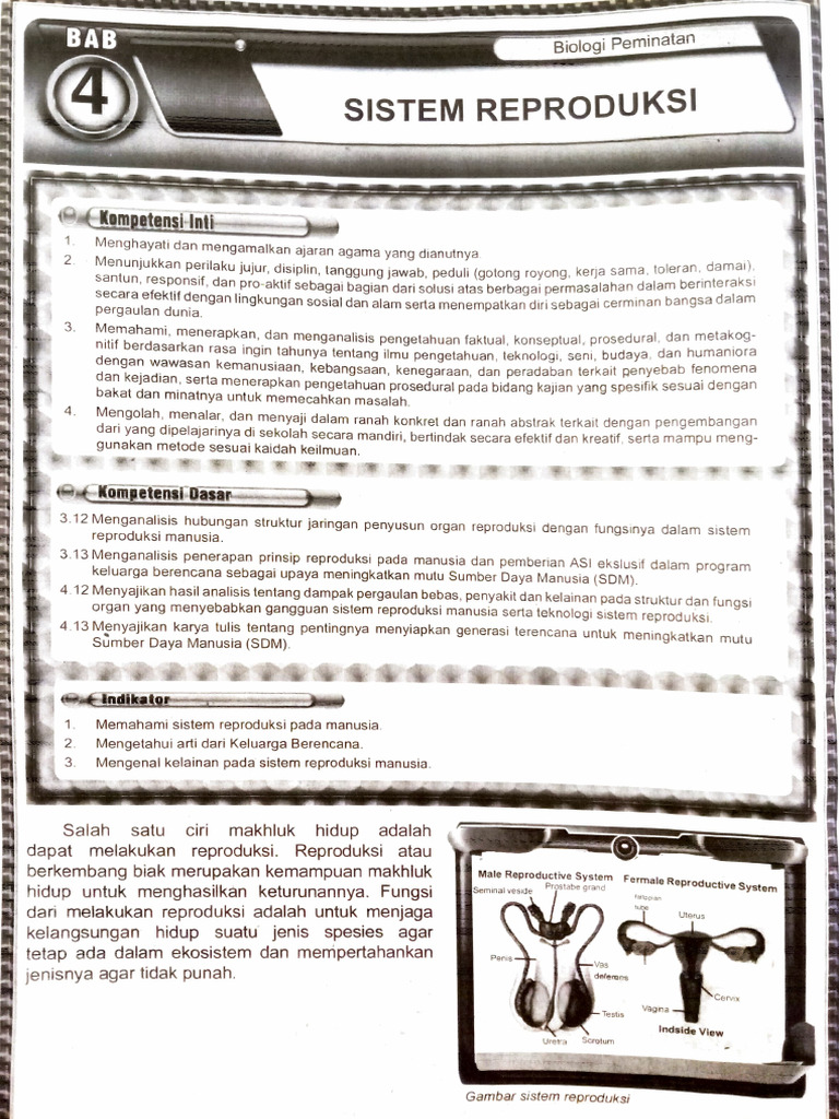 Bab 4 Sistem Reproduksi | PDF