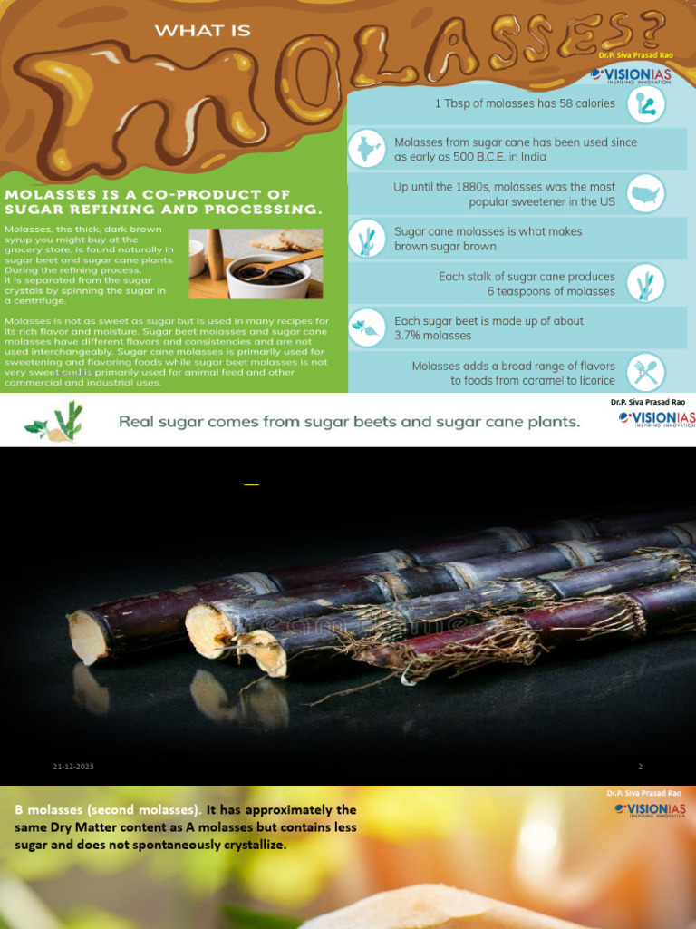 Classroom 0 Molasis 1035204 | PDF