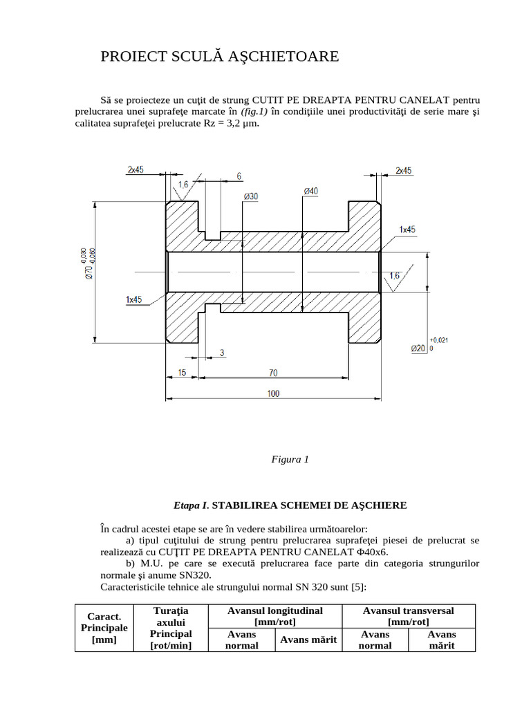 PROIECT SCULA Gram | PDF