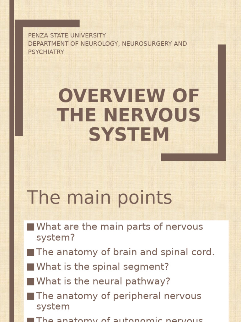 Overview of The Nervous System | PDF