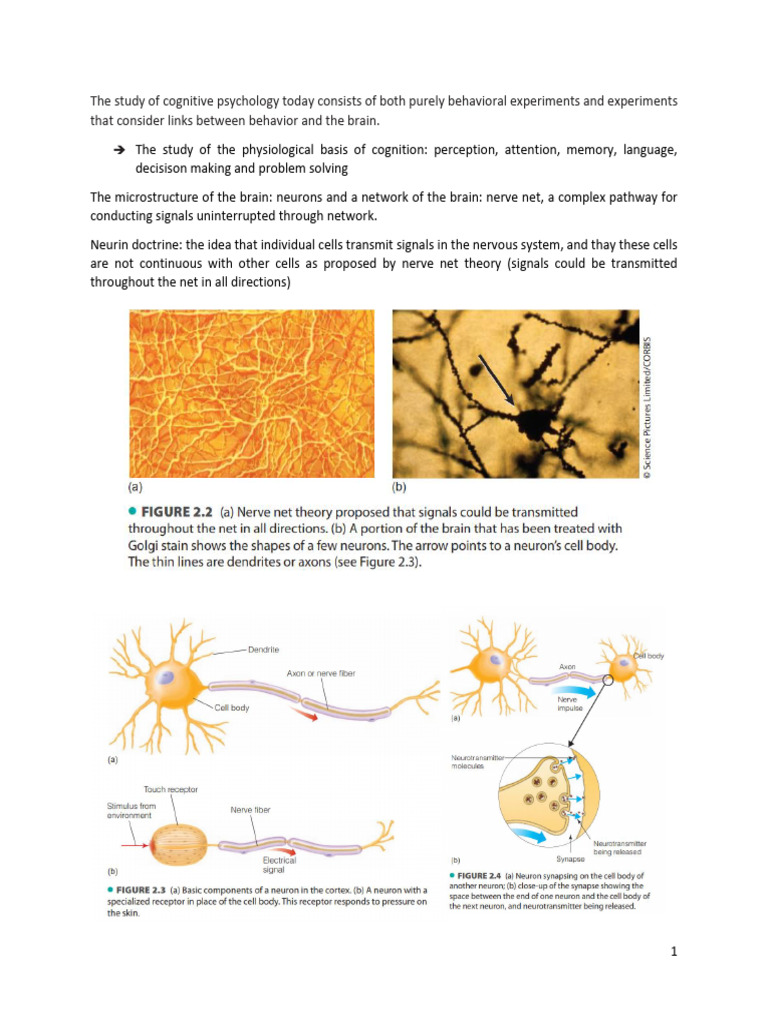 Chapter 2 Cognitive Science | PDF