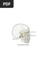 Greater Palatine Nerve Block Technique | PDF | Anesthesia | Injection ...