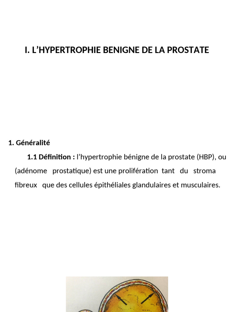2-HBP Tscgo 23 | PDF