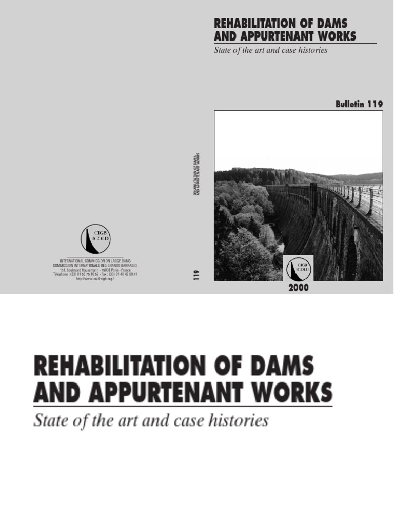 Rehabilitation of Dams and Appurtenant Works | PDF