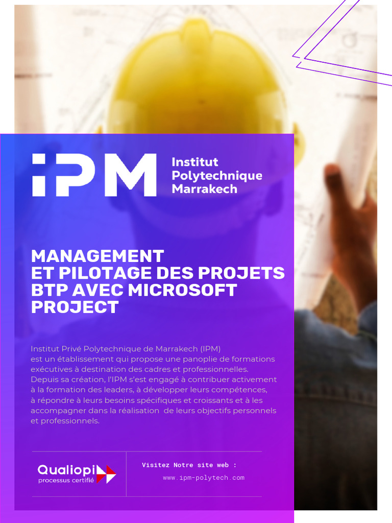 IPM Management Et Pilotage Des Projets BTP Avec Microsoft Project | PDF